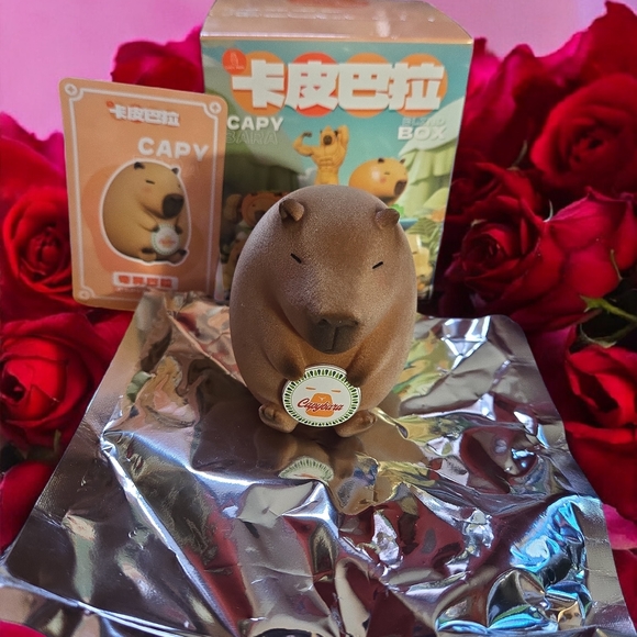 Luck Moai | Toys | Flocked Capybara Blind Box Confirmed | Poshmark